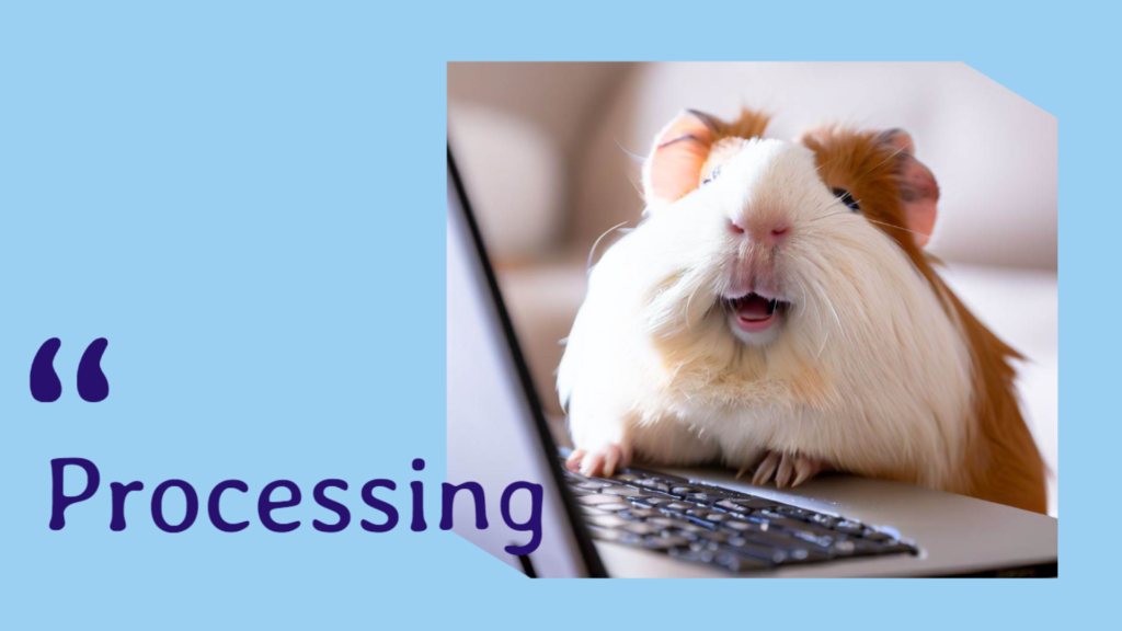 Processingとp5.js – Web Weaver